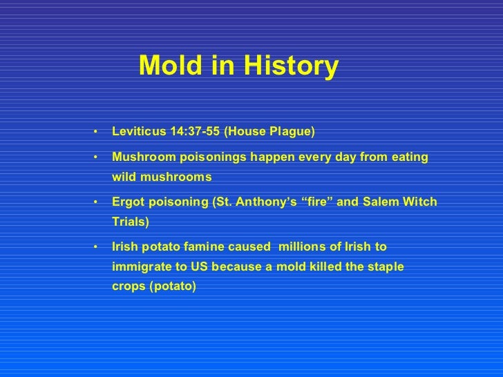 Mold Presentation