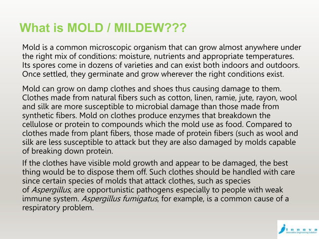 Mold Prevention in RMG.pptx