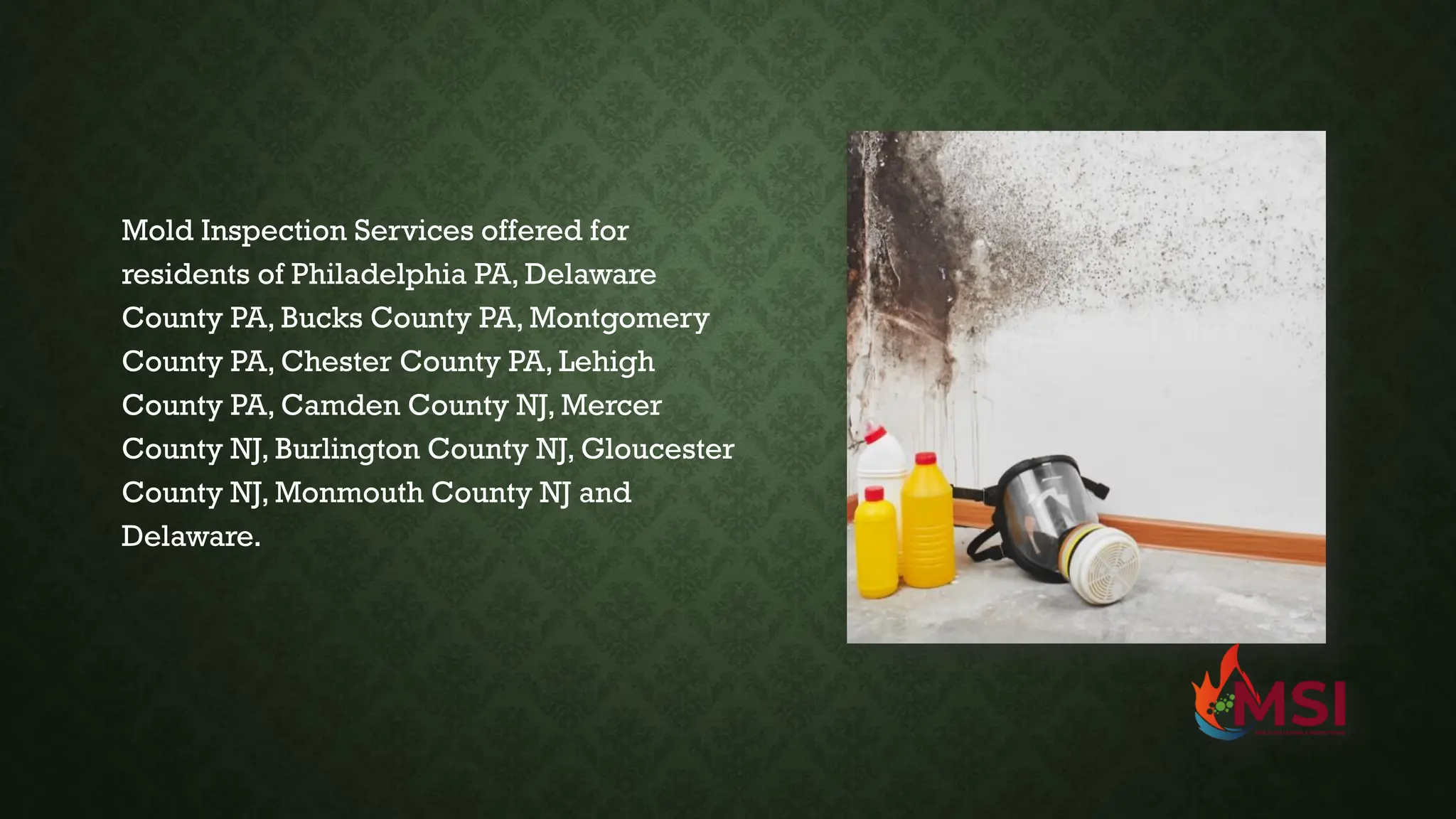 MOLD REMEDIATION - Mold Solutions & Inspections | PDF