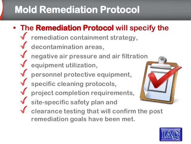 Mold Remediation and Mold Remediation Protocol - Indoor Air Quality