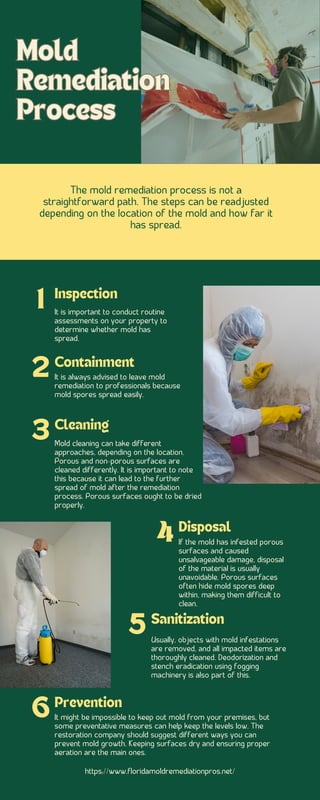 Mold Remediation Process.pdf | Indoor Environmental Quality | Home & Garden