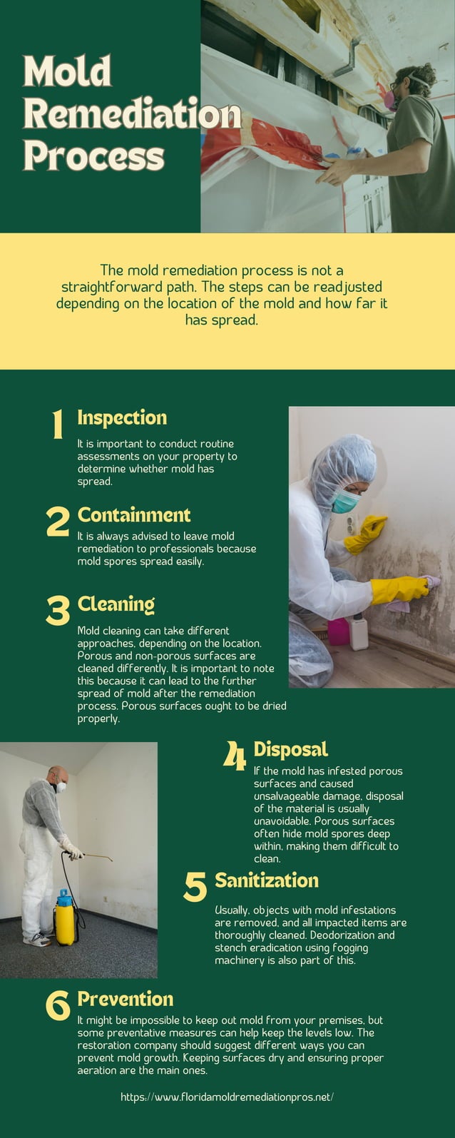 Mold Remediation Process.pdf