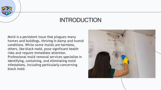 Effective Strategies for Mold Removal Service | PPTX