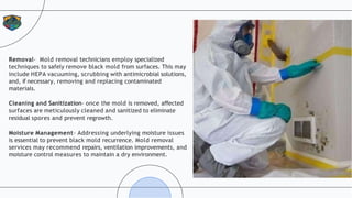 Effective Strategies for Mold Removal Service | PPT