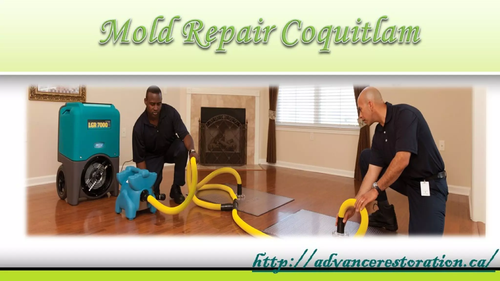 Mold Repair Coquitlam | PPT