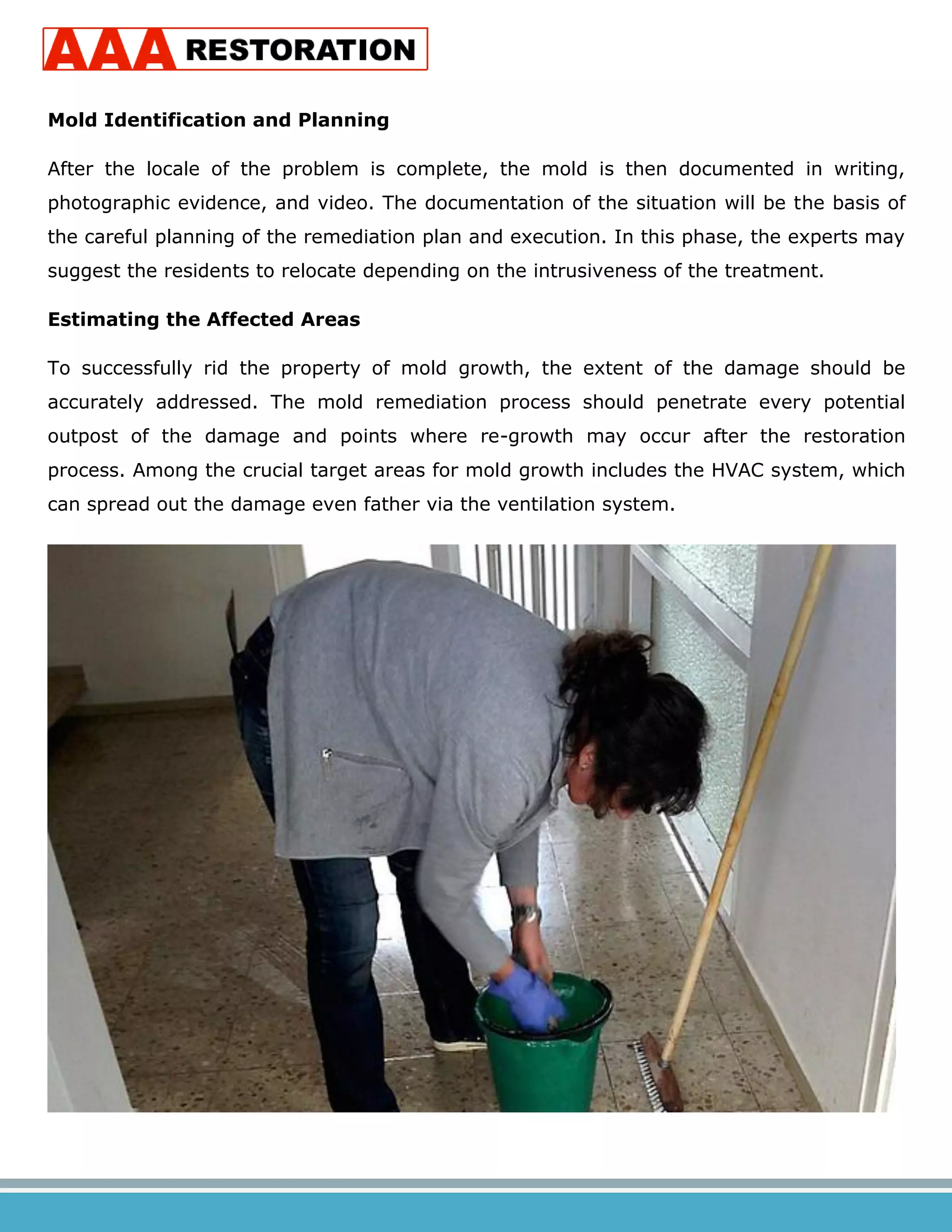 Mold restoration protocols and remediation process | PDF