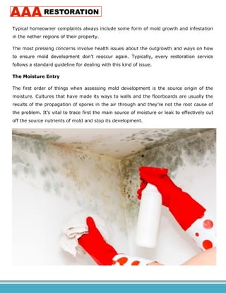 Mold restoration protocols and remediation process | PDF