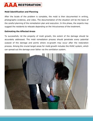 Mold restoration protocols and remediation process | PDF