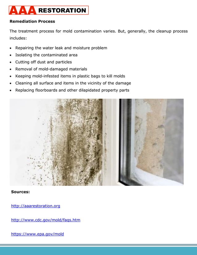 Mold restoration protocols and remediation process | PDF