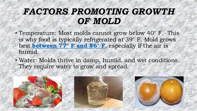 Molds.pptx