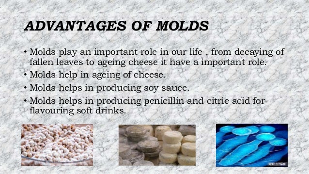 Molds.pptx