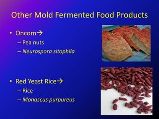 Molds and food industry | PDF