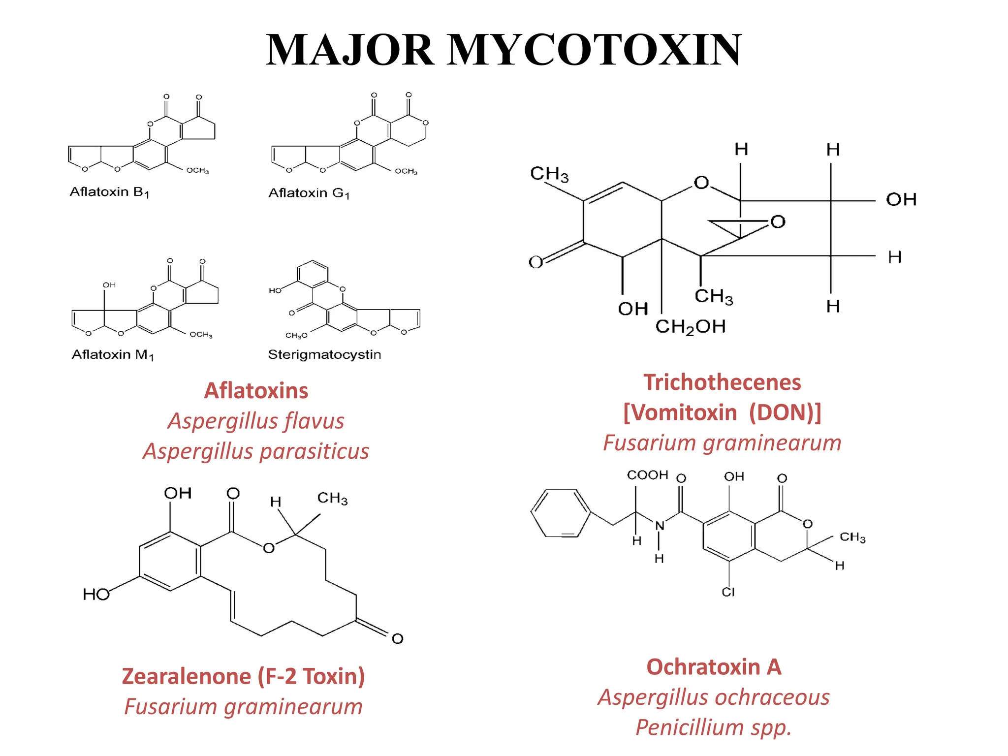Molds and Mycotoxin.pptx