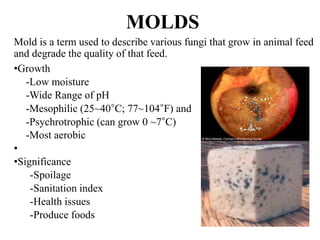 Molds and Mycotoxin.pptx