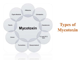 Molds and Mycotoxin.pptx