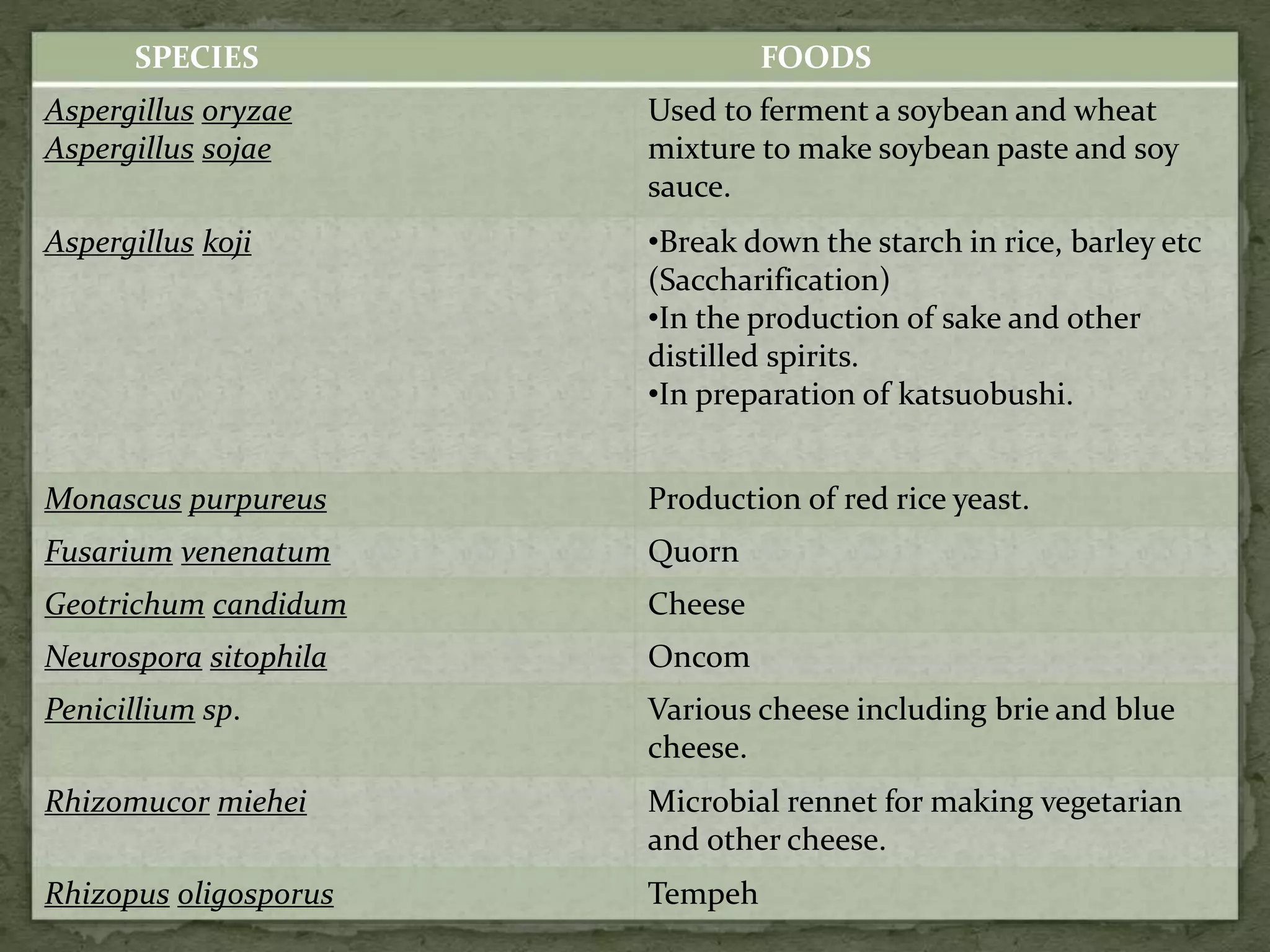 Molds of industrial importance | PPTX
