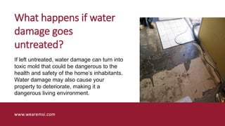 Mold Solutions & Inspection Services .pptx | Indoor Environmental Quality | Home & Garden
