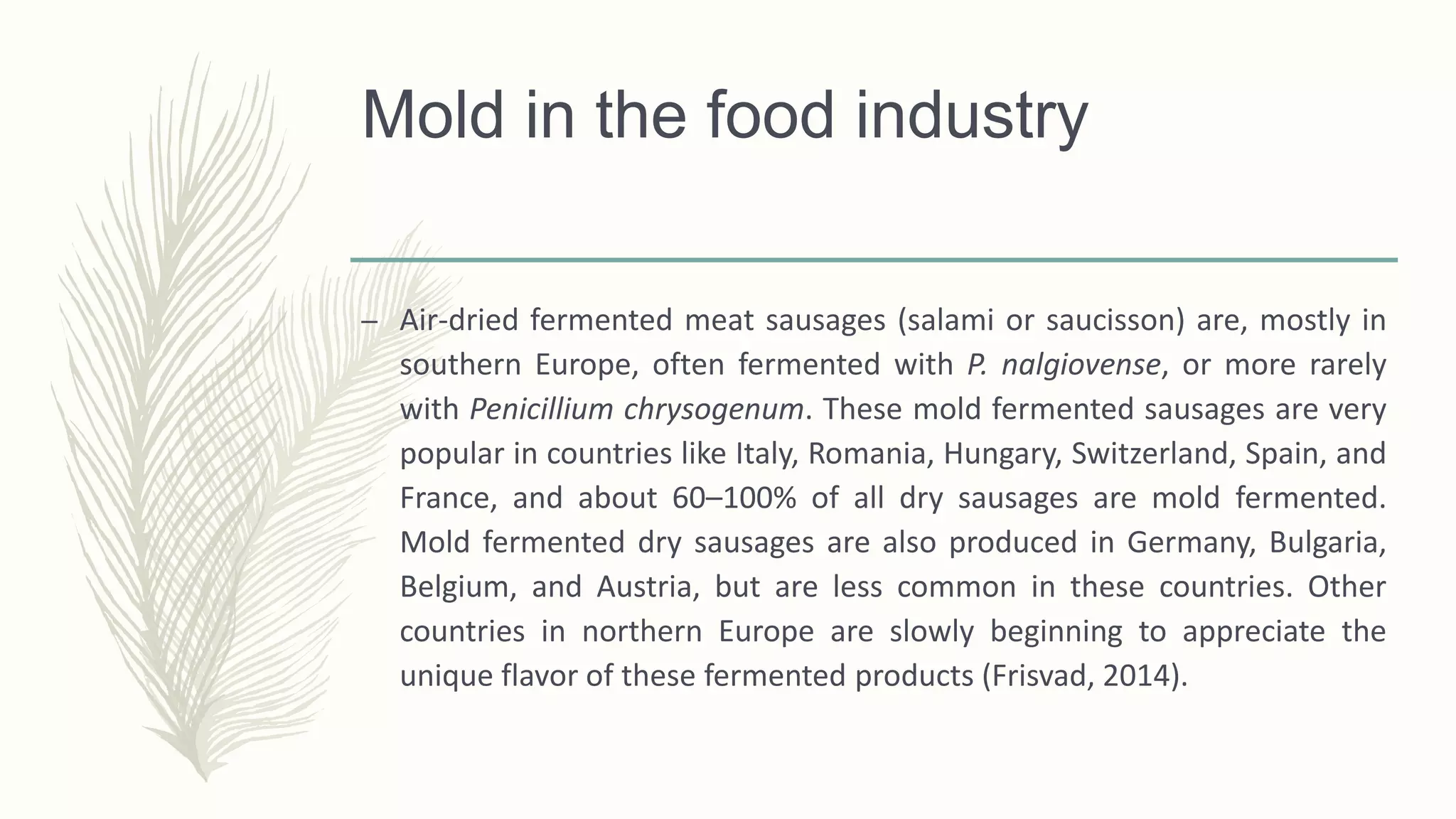Molds in food | PPTX