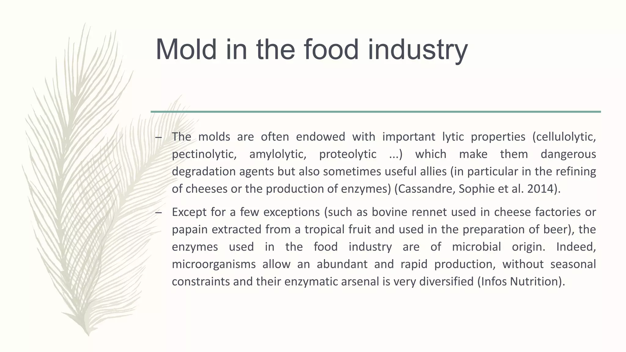 Molds in food | PPTX