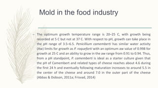 Molds in food | PPTX