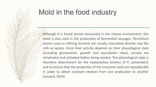 Molds in food | PPTX