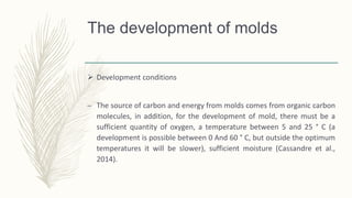 Molds in food | PPTX
