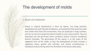 Molds in food | PPTX