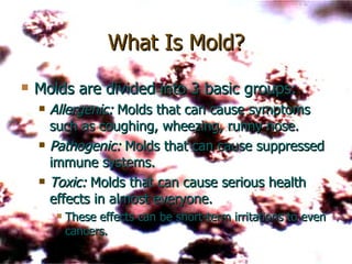 Mold, The New Environmental Issue | PPT