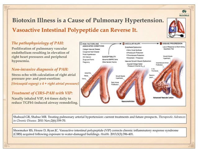 Mold Toxicity - A Chronic Inflammatory Response Syndrome | PDF