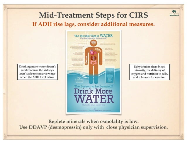 Mold Toxicity - A Chronic Inflammatory Response Syndrome | PDF