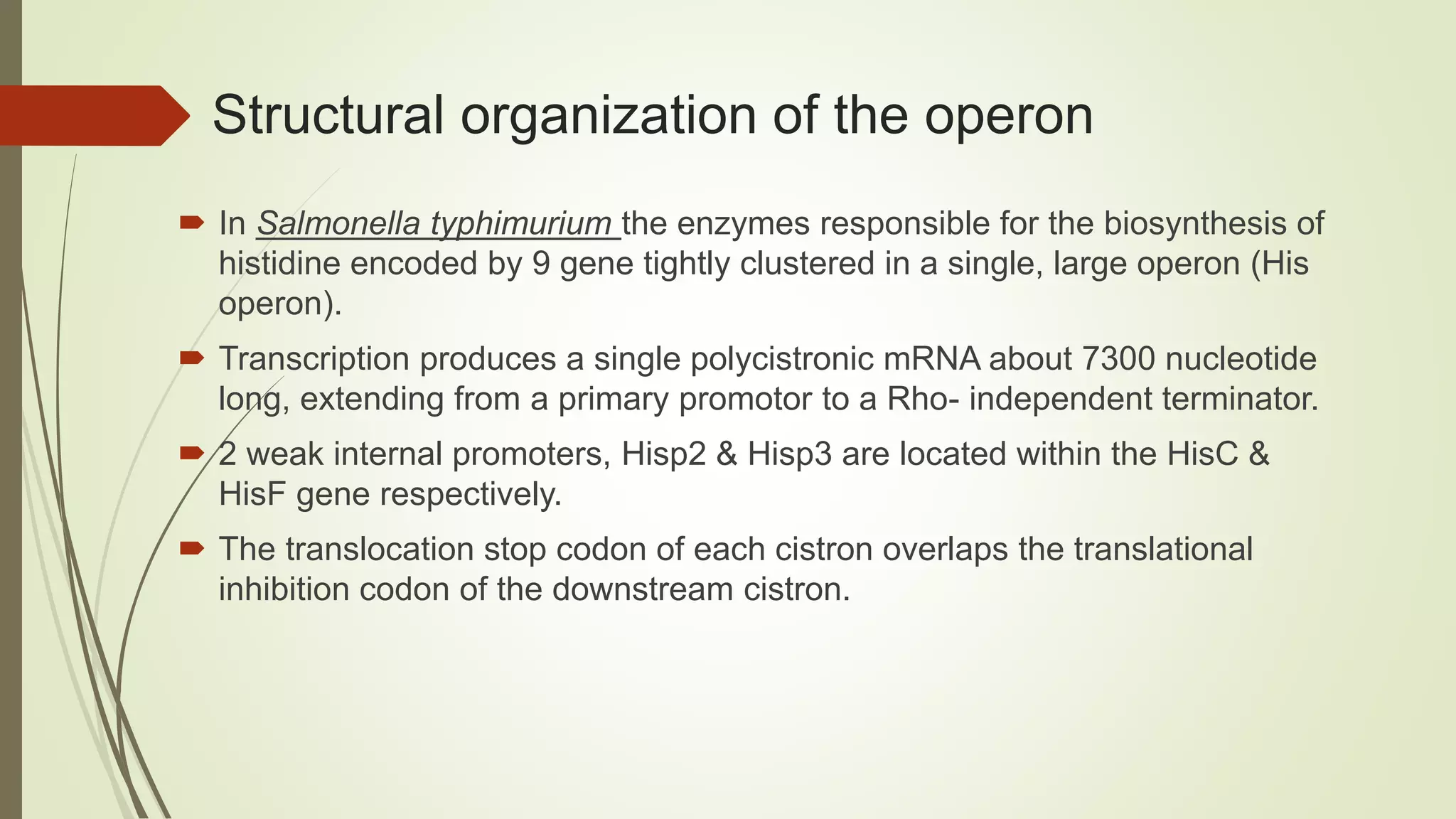 Histidine Operon | PPTX