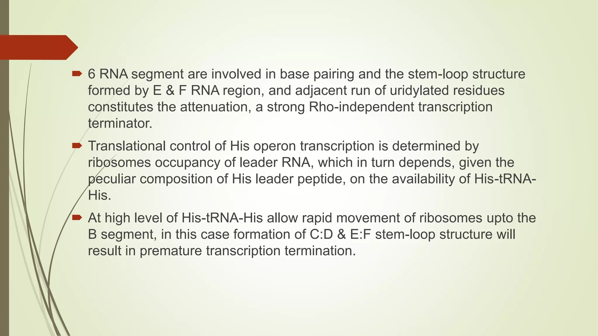 Histidine Operon | PPTX