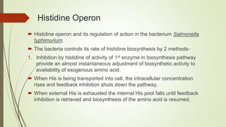Histidine Operon | PPTX