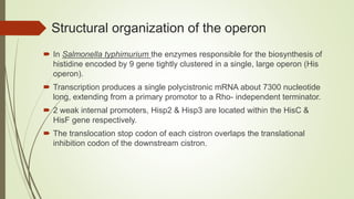 Histidine Operon | PPTX