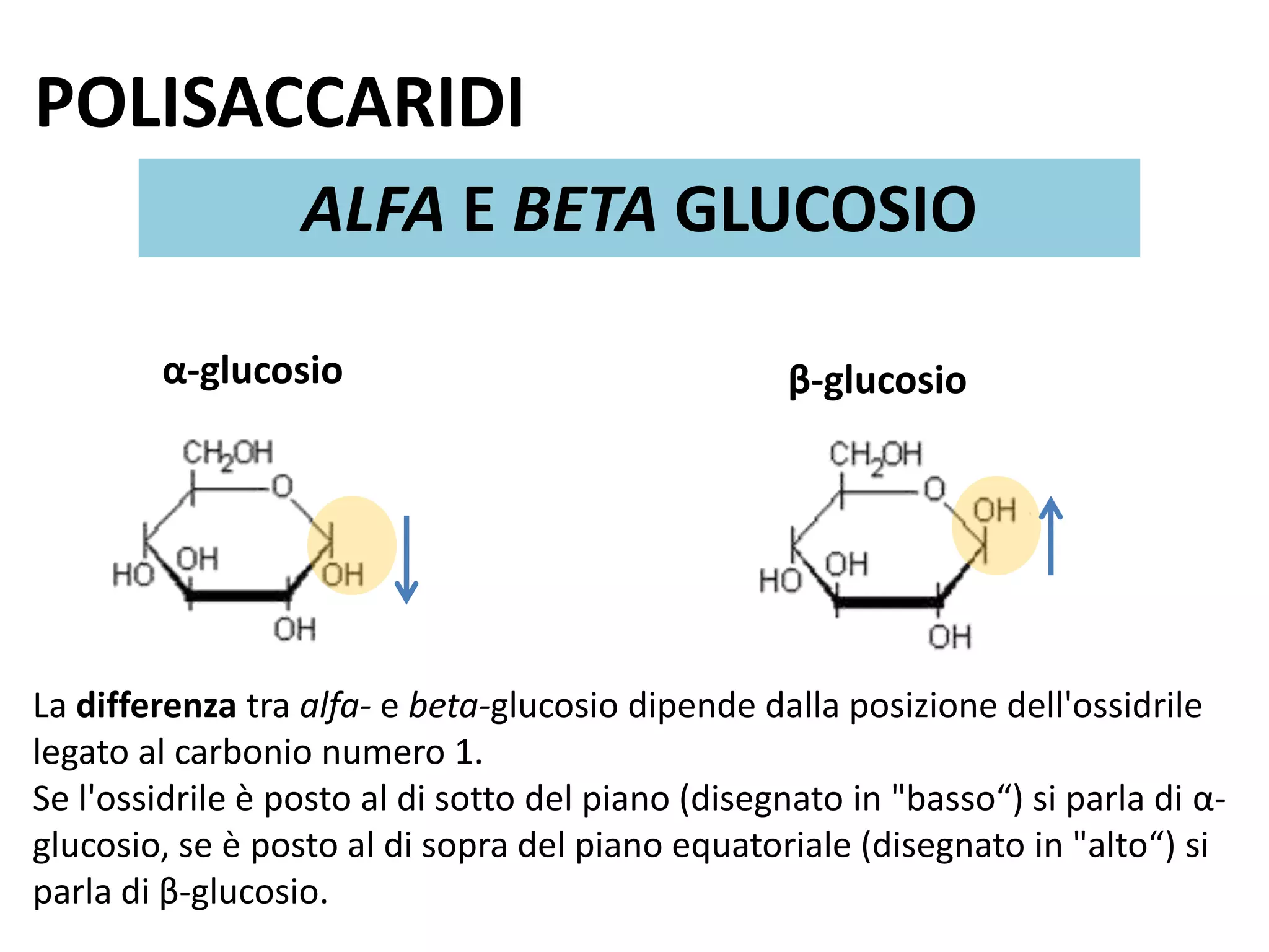 Le biomolecole: i carboidrati | PPTX