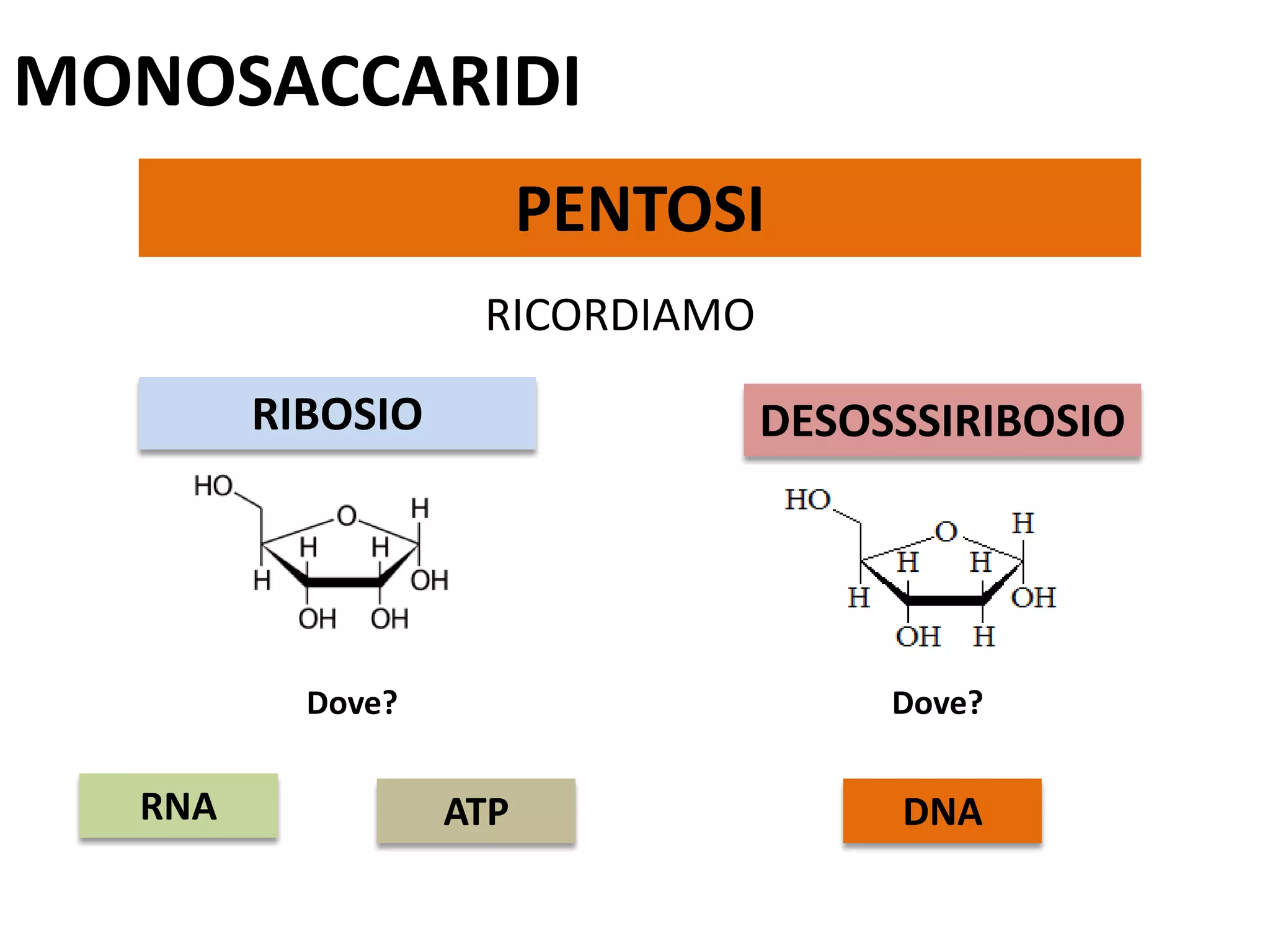 Le biomolecole: i carboidrati | PPTX