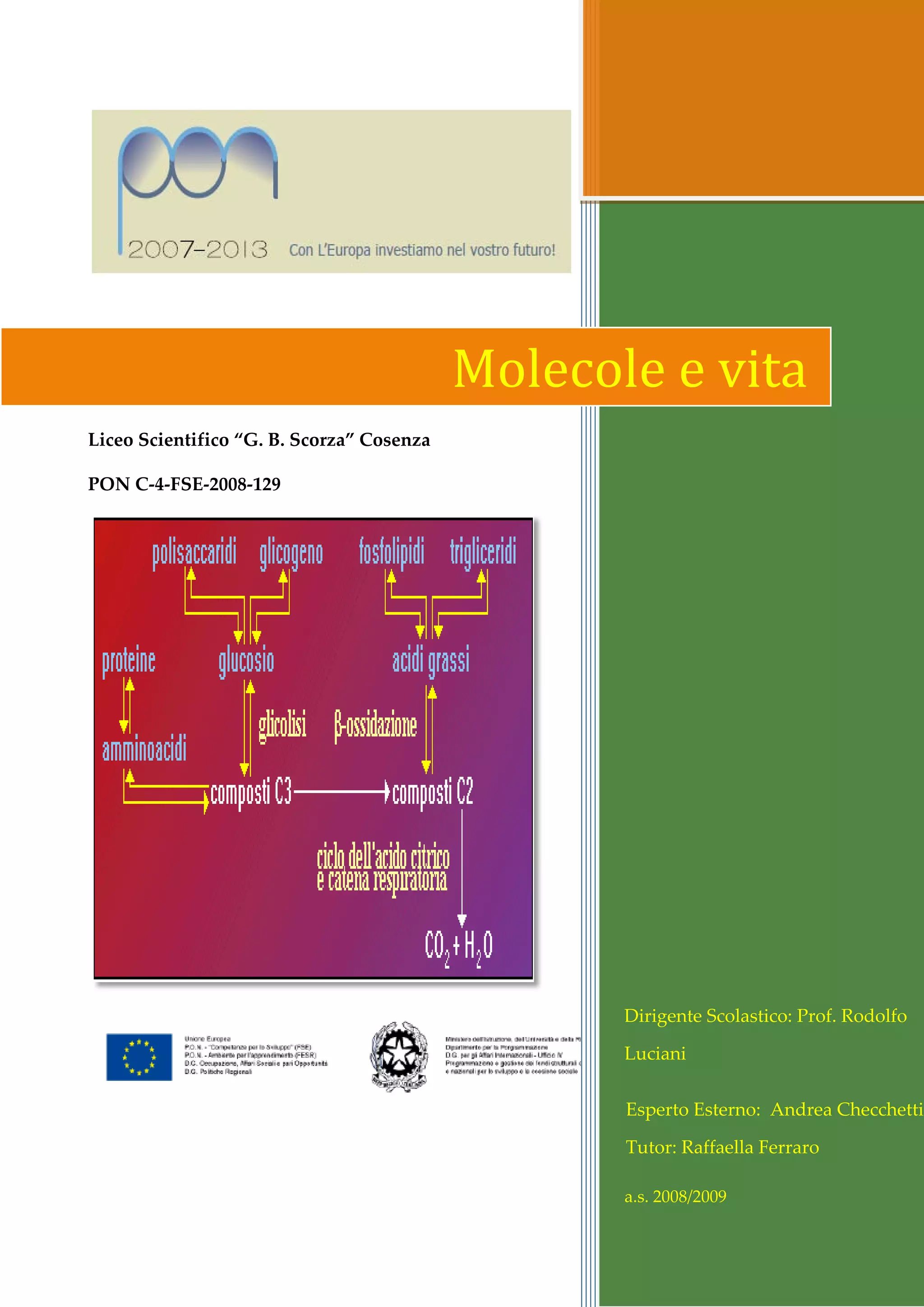 Molecole e vita | PDF