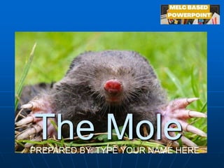 Mole Concept.pptx (Grade 9, second quarter) | PPTX