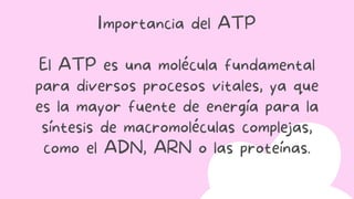 Molecula ATP.pdf