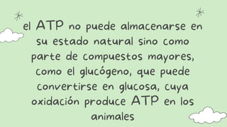 Molecula ATP.pdf