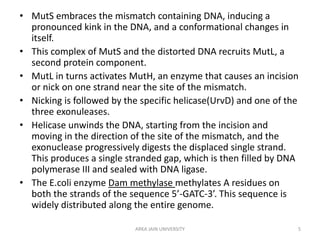 Molecular Biology | PPT