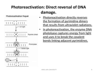 Molecular Biology | PPT