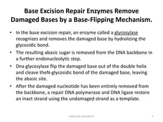 Molecular Biology | PPT