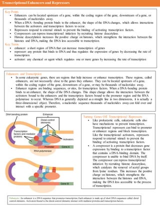 Activation of gene expression by transcription factors | DOCX
