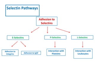 Molecular basis of metastasis | PPT