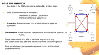 molecular-basis-of-mutation.pdf