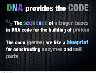 Molecular Genetics | PDF