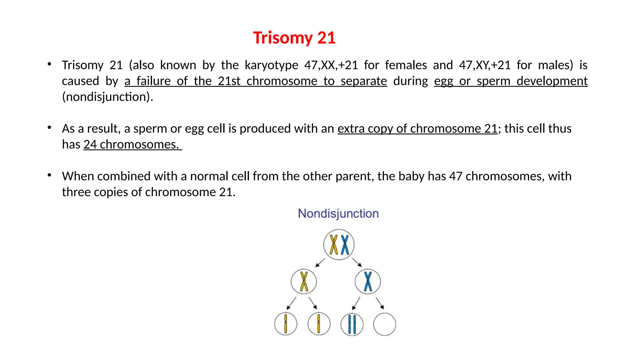 Molecular-patho-mechanism-of-common-genetic-diseases.pptx