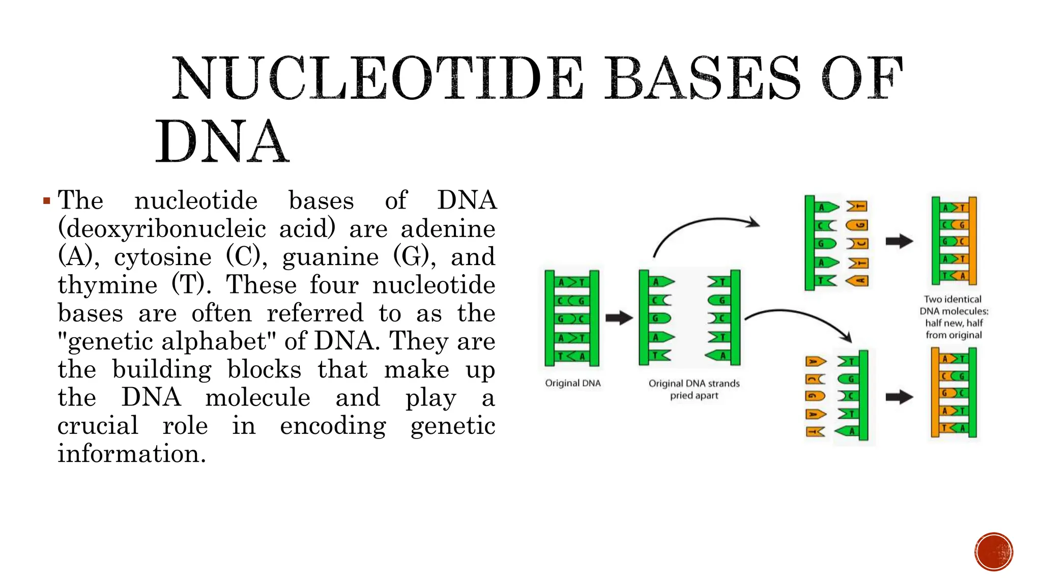 Molecular-structure-of-dna-rna-and-proteins-.pptx