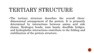Molecular-structure-of-dna-rna-and-proteins-.pptx